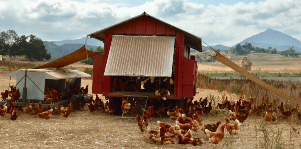 Ramona: San Diego's Must-Visit Town | SD Entertainer Magazine